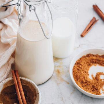 Cinnamon Horchata Milkshake | Hello Veggie | Drinks + Smoothies